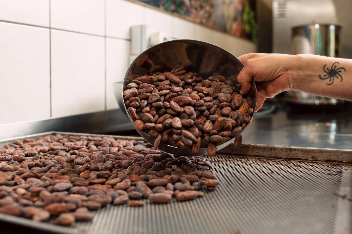 Schokoladen-Tasting mit Choco Del Sol in Chemnitz | DirektvomFeld.eu ...